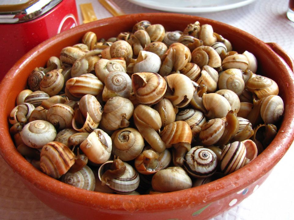 Caracóis à portuguesa - Receitas da Tia Céu